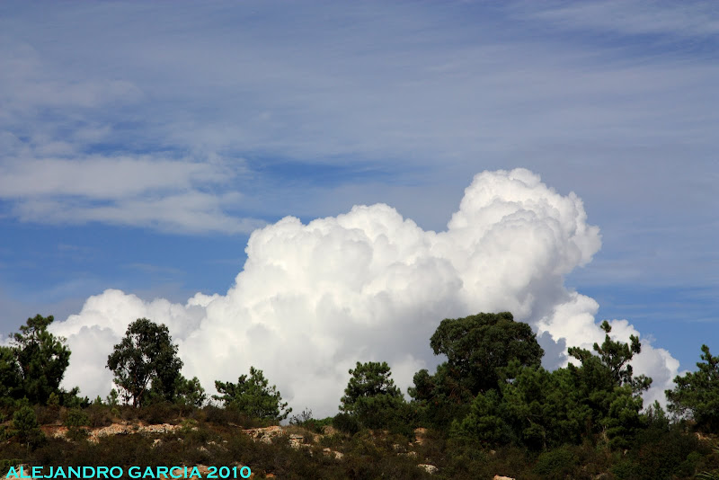 MIS IMPRESIONES - Imágenes y Poesía: FORMAS NATURALES