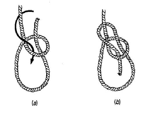 Pengakap TMS: [Lencana Keahlian] SIMPULAN / IKATAN