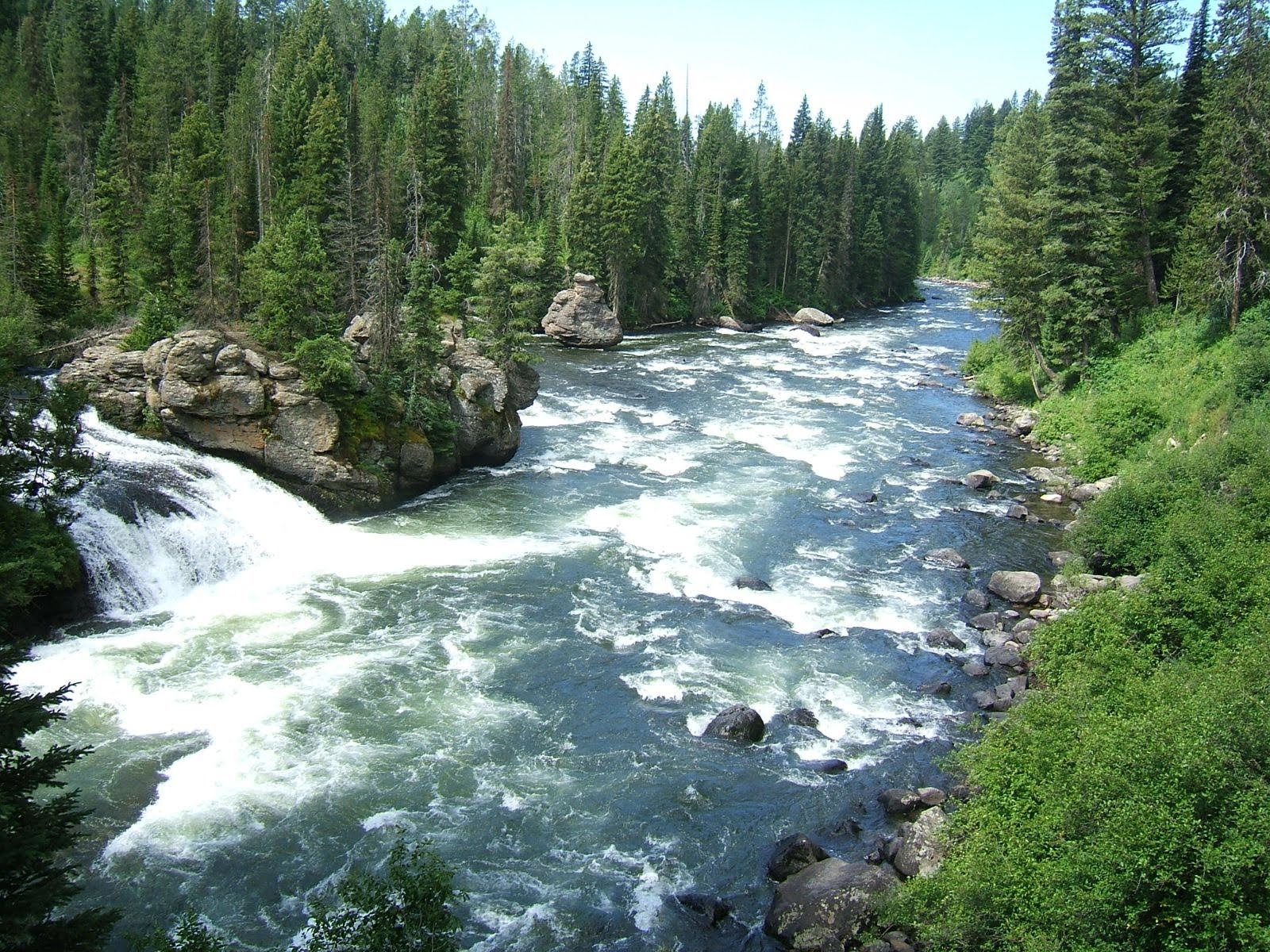 Free Programlar | Ne Ararsan: Nehir ve Orman Manzarası