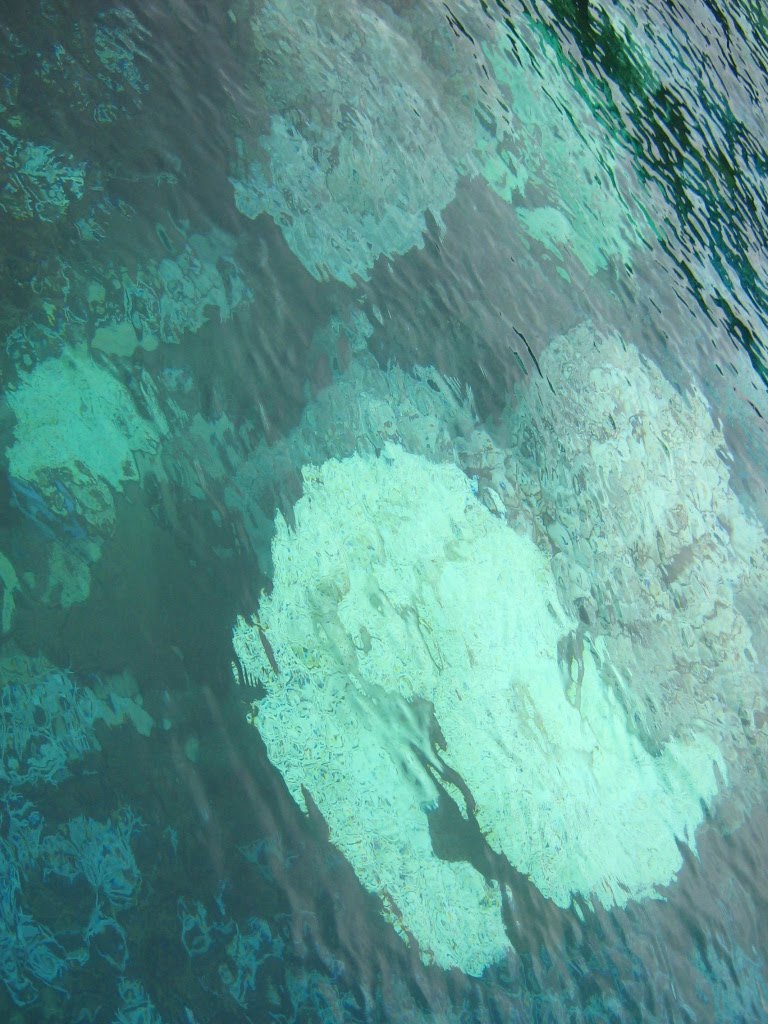 Compass of the North™: Koh Hae...Coral Island!