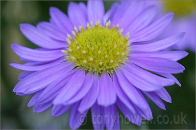 NCFE Photography: Tony Howell