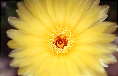 NCFE Photography: Tony Howell