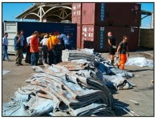 Bondtehond bij het liquidatieproces: Greg Remmers, de vader van Jesse ...