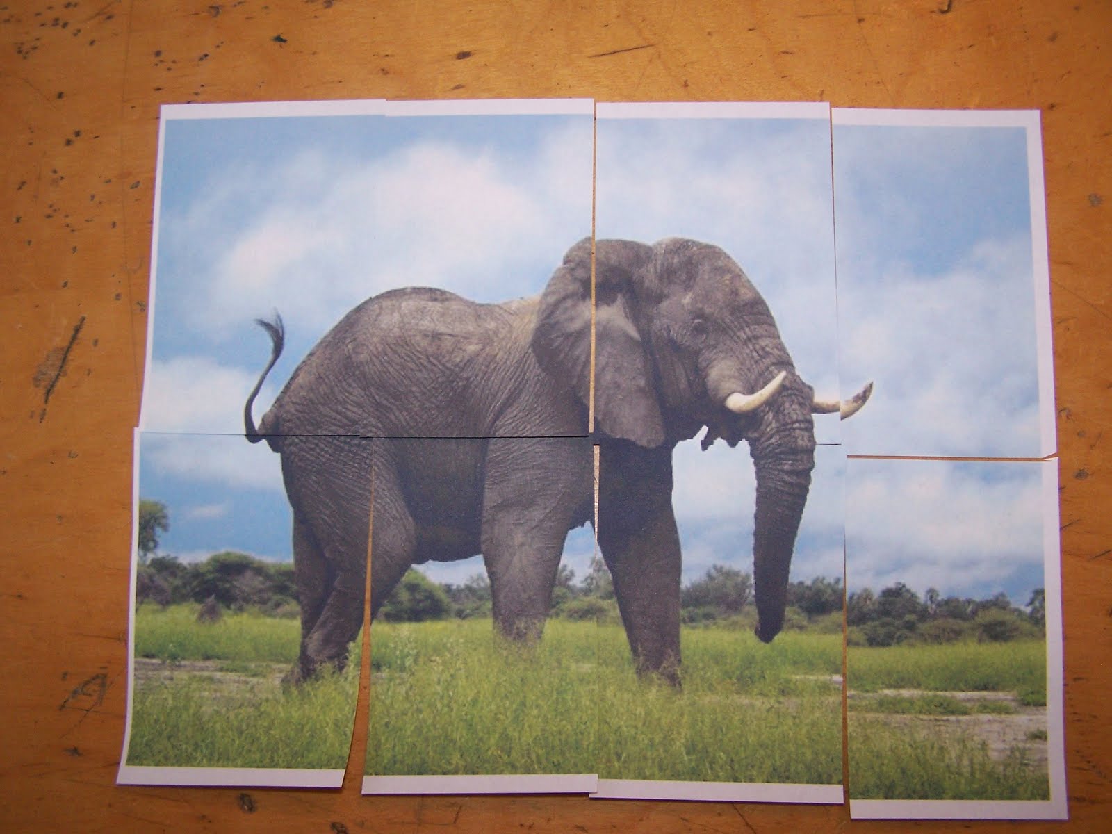 Adventures in Home Pre-Schooling: E is for Elephant