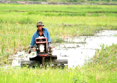 EXPAT AUX PHILIPPINES: CONNAISSEZ-VOUS ... LE KULIGLIG