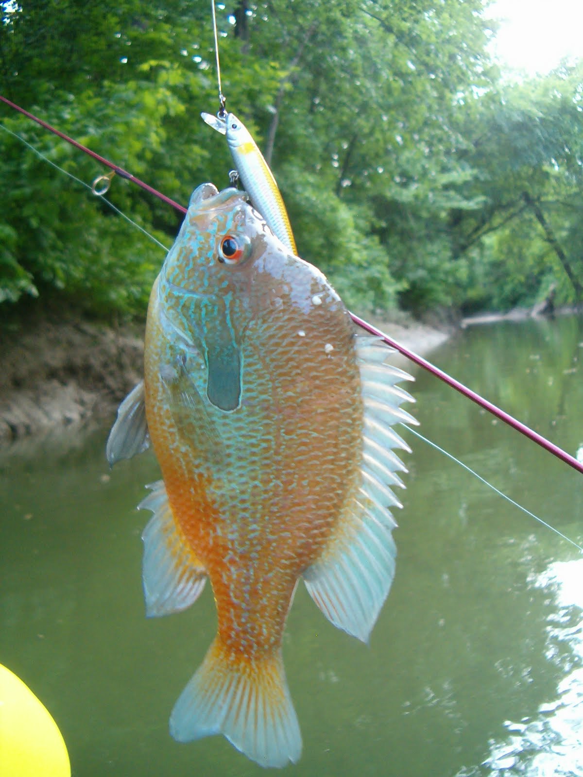 Dudleys Diary: April 2010