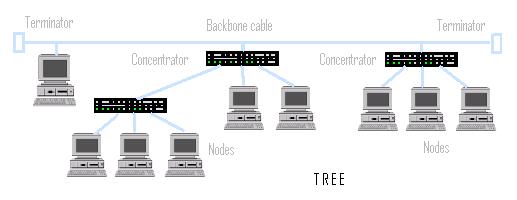 A Guide To RedHat Linux: Tree Topology