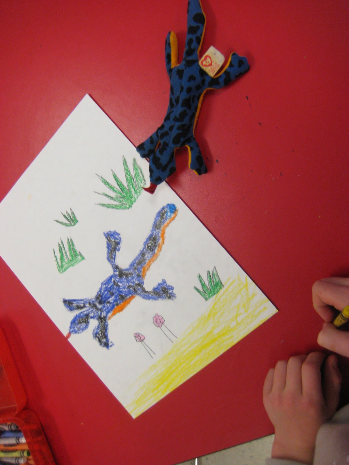 Why Walk When You Can Fly?: First Grade Drawing from Observation
