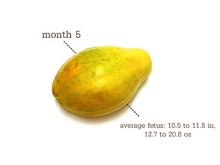 Baby Grounds: 22 Weeks Pregnant - Baby Papaya