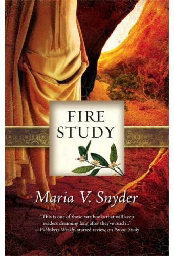 BookLust: Double Review: Magic Study and Fire Study