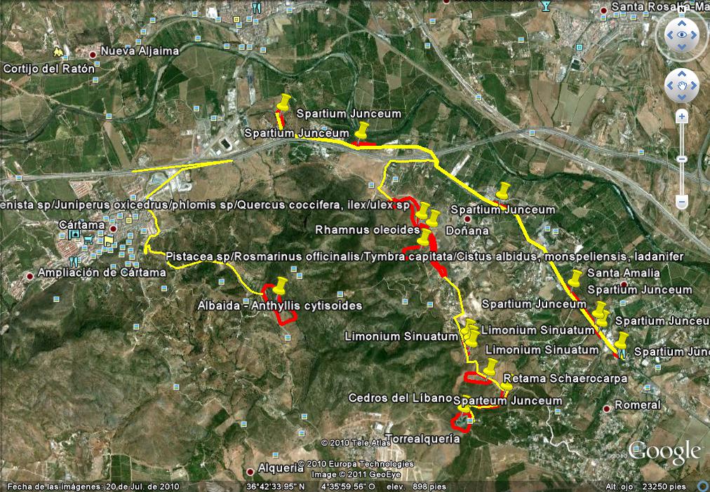 ASOCIACIÓN DE VECINOS ATALAYA DE CÁRTAMA: enero 2011