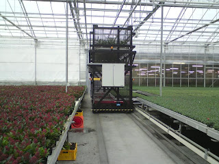 Horticulture in Holland: Fully automated greenhouse