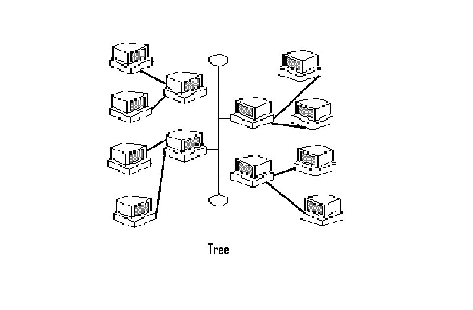 E-Commerce: Hybrid Network Topologies:Tree and Mesh