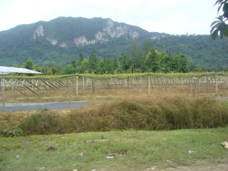 Zeus is forging the forbidden knowledge: My best memories of Perlis