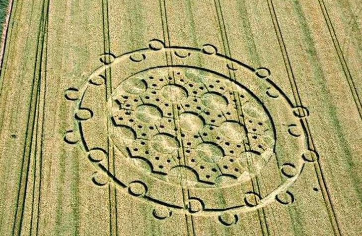 Agroglifos ~ TRASTERO VIVO