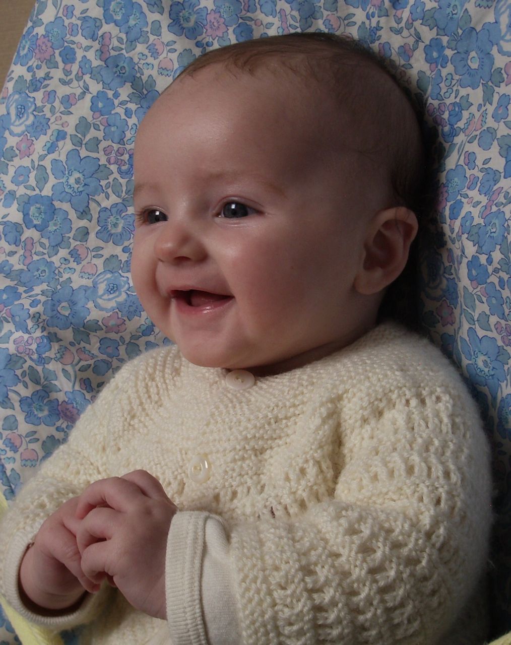 The Old Fashioned Baby Sewing Room: 11/1/10 - 12/1/10