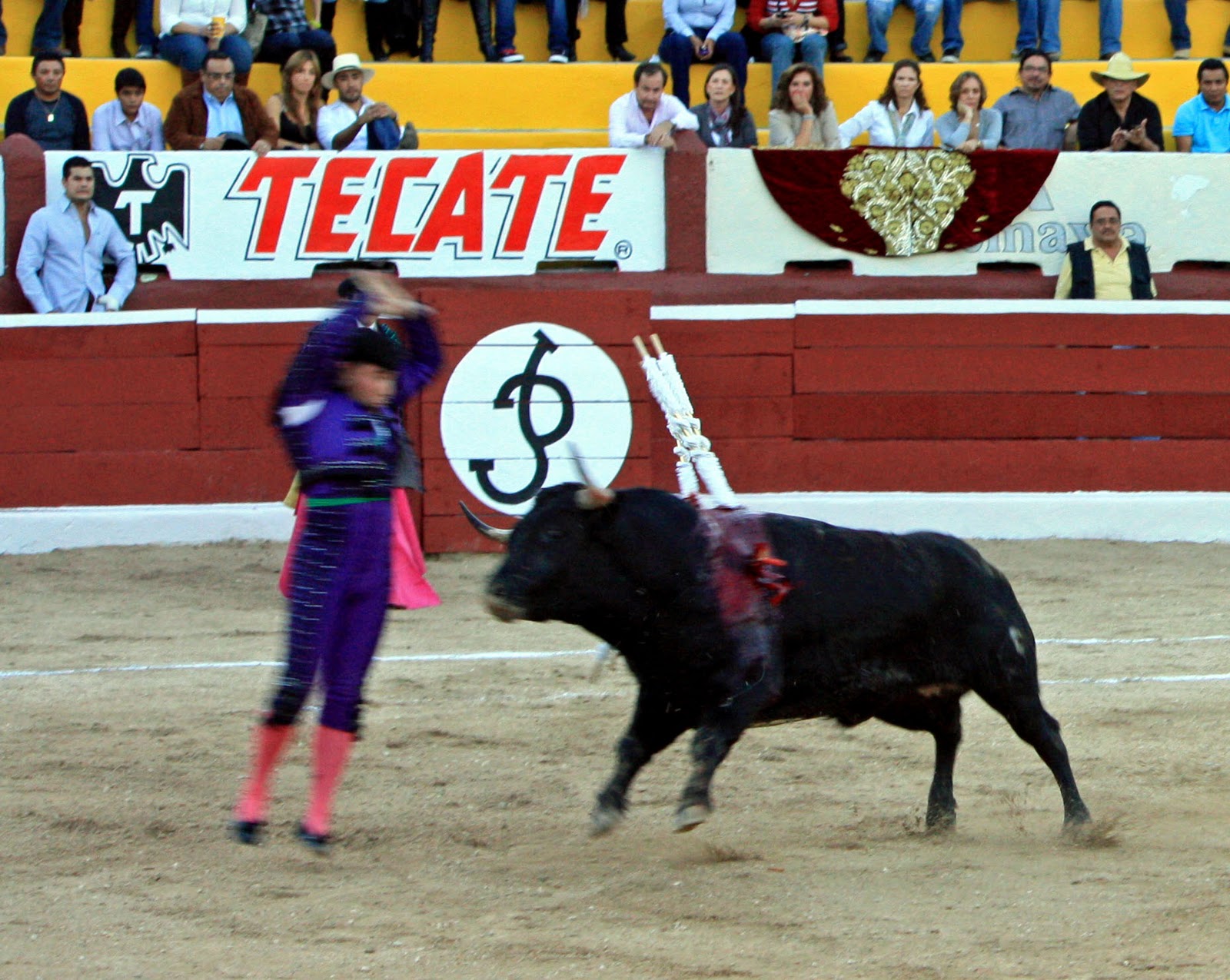 Deb and Ed Full Steam Ahead!!: The Bull Fight