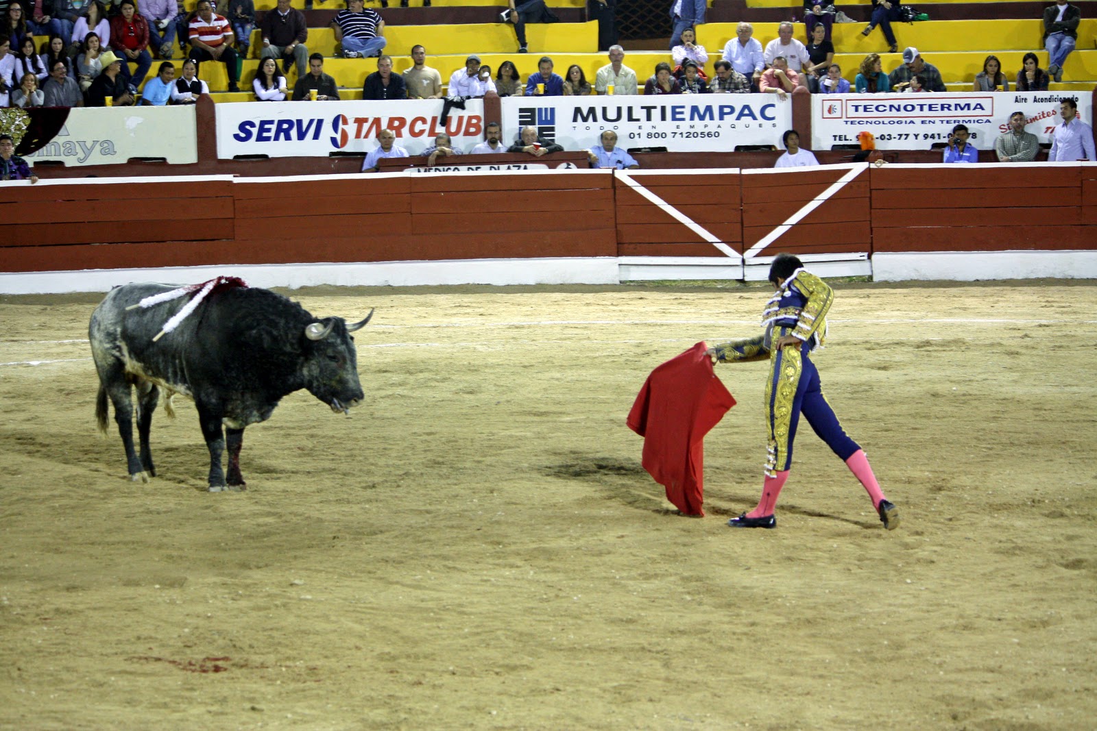 Deb and Ed Full Steam Ahead!!: The Bull Fight