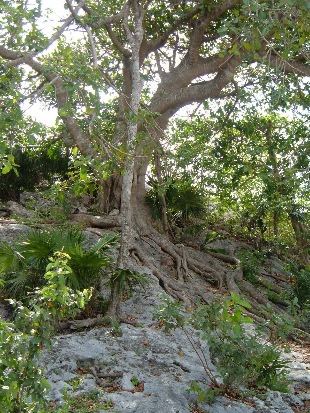 The Most Beautiful Place on Earth: Mexico