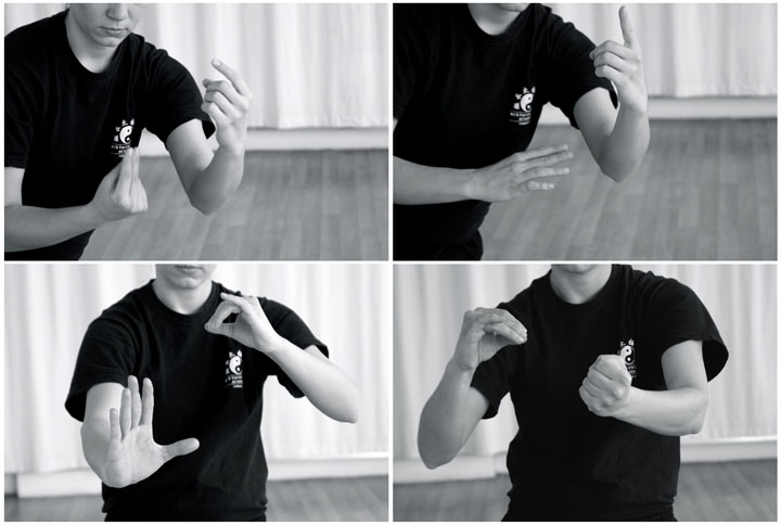 Skydive Office of Cultural Affairs