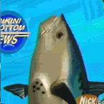 Spongebob Squarepants Ultimate Fan Site: News Update - Spongebob ...