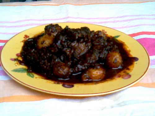 RENDANG LOKAN DAN RENDANG GURITA,MAKANAN KHAS PESISIR SELATAN - KOTA PAINAN