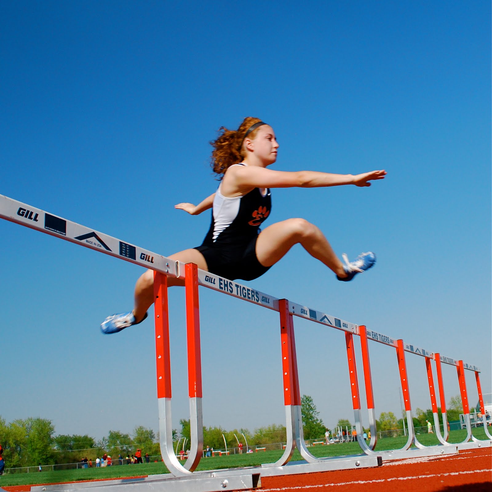 Photo of the Day: Today's Schedule of Events: Orphan Relays in ...