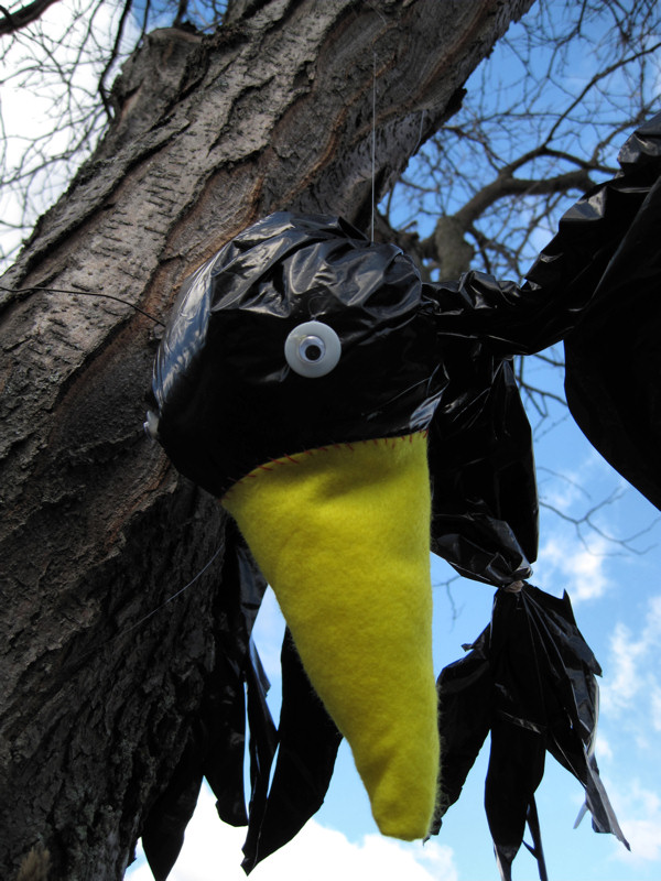 Haunted Eve's Halloween Blog: "Scare" Crows
