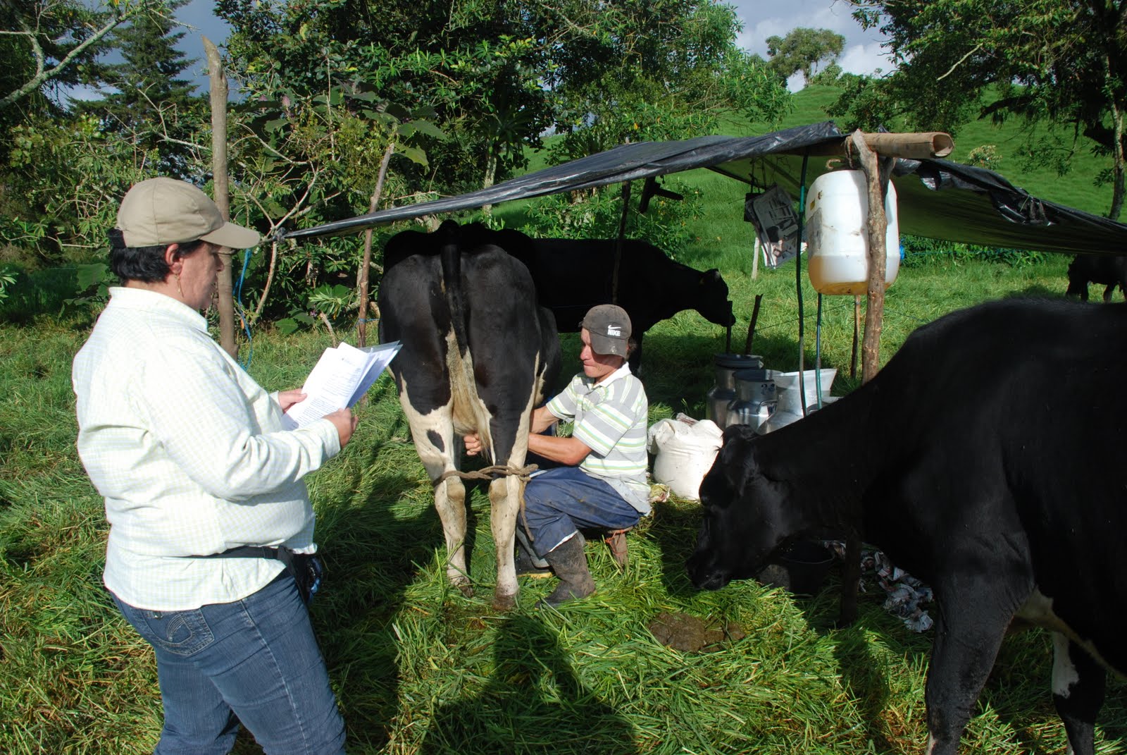 SISTEMA NACIONAL DE FORMACION PARA EL TRABAJO: CERTIFICACIÓN SECTOR ...