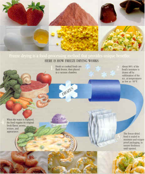 FOOD PRESERVATION: FOOD PRESERVATION