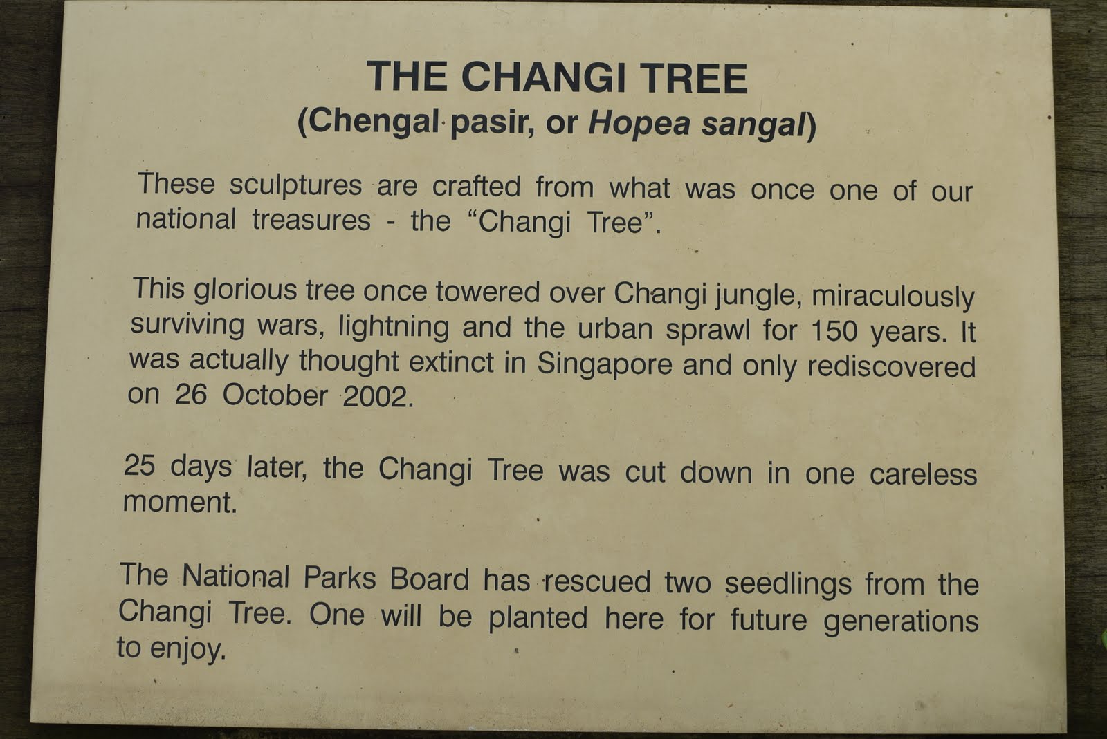 Sawpo's: Changi Tree @ Singapore Zoo