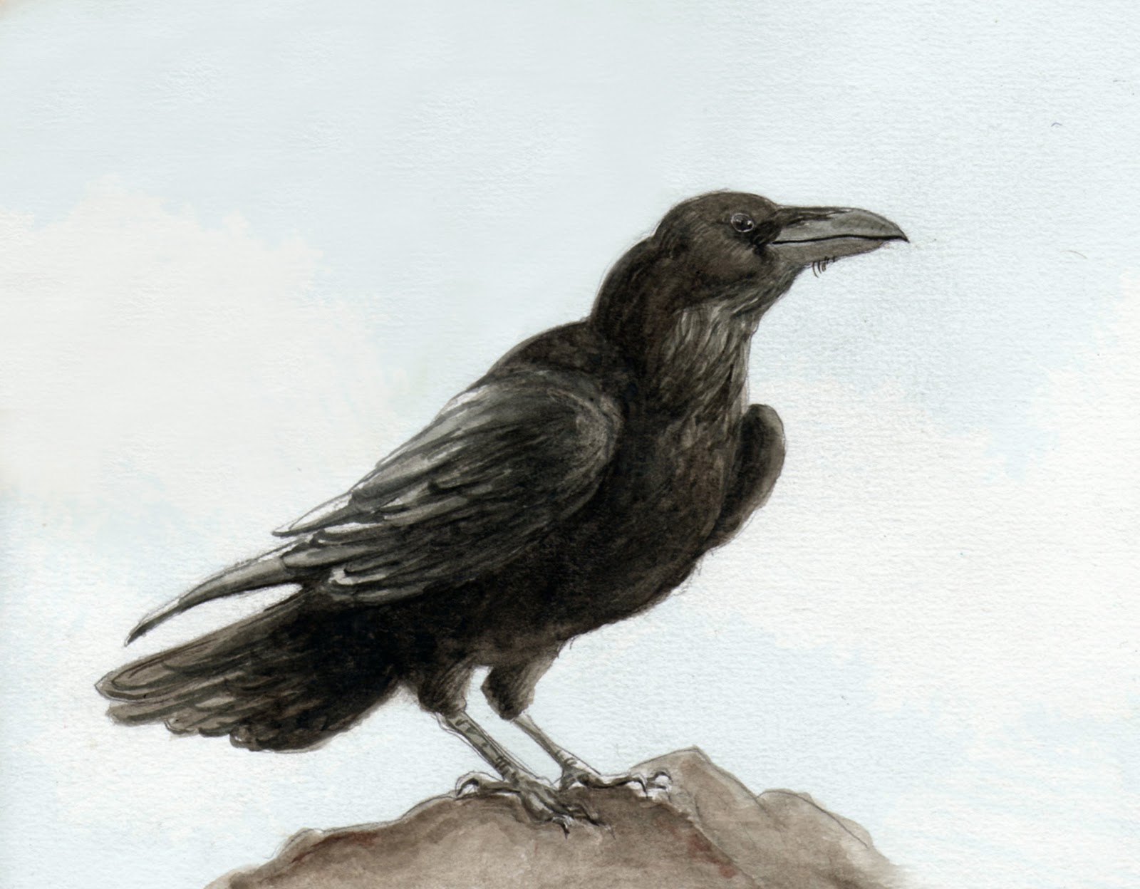 DEBUHME: maître corbeau