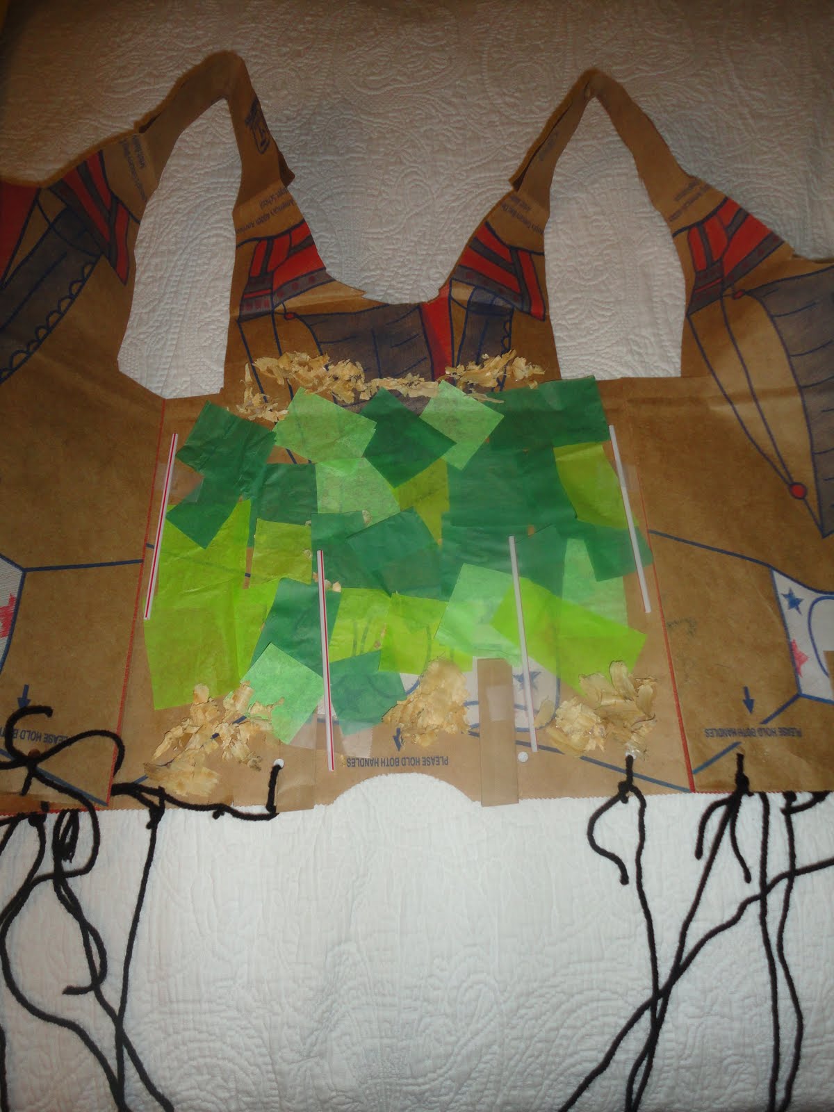 The Teacher Turned Student: Project Learning Tree