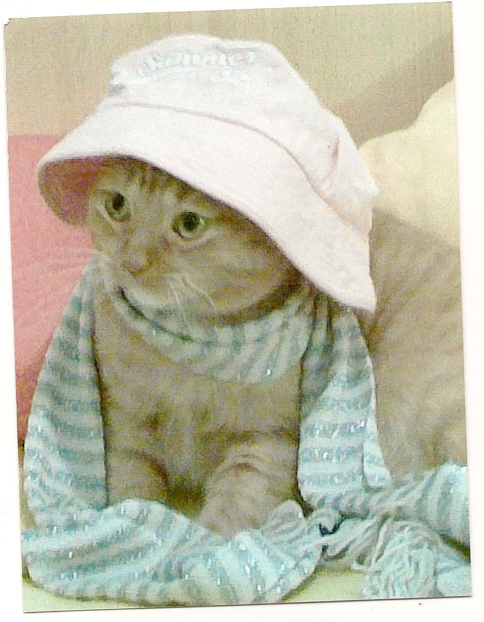 Un Animal, Una Vida: MISITO, NUESTRO GATO