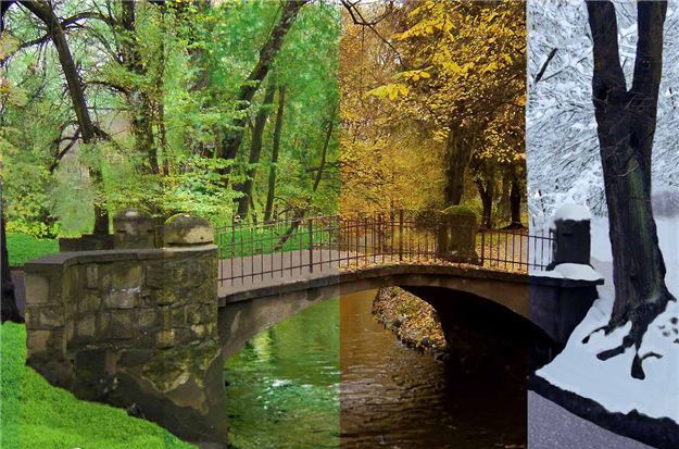 Beautiful Seasonal Photography ~ fuNkyXoNe