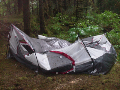 The Witch's View: The Witch - The Tent and the Tree