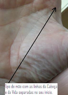 Ler na Mão: A UNIÃO DA LINHA DA CABEÇA COM A LINHA DA VIDA
