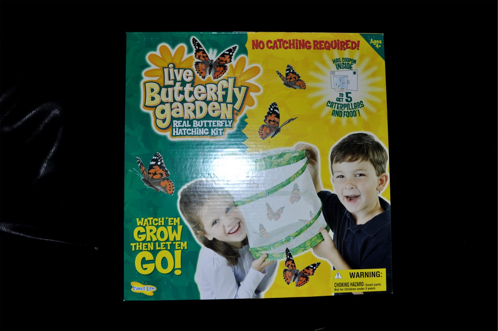 Fun Projects for Kids: Live Butterfly Garden