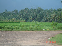 Guru's Travel Odyssey: Ilanji and Ayikudi - Twin Murugan temples around ...