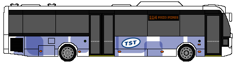 Openbaar Vervoer Wereldwijd: Arriva bussen bij TST in Portugal
