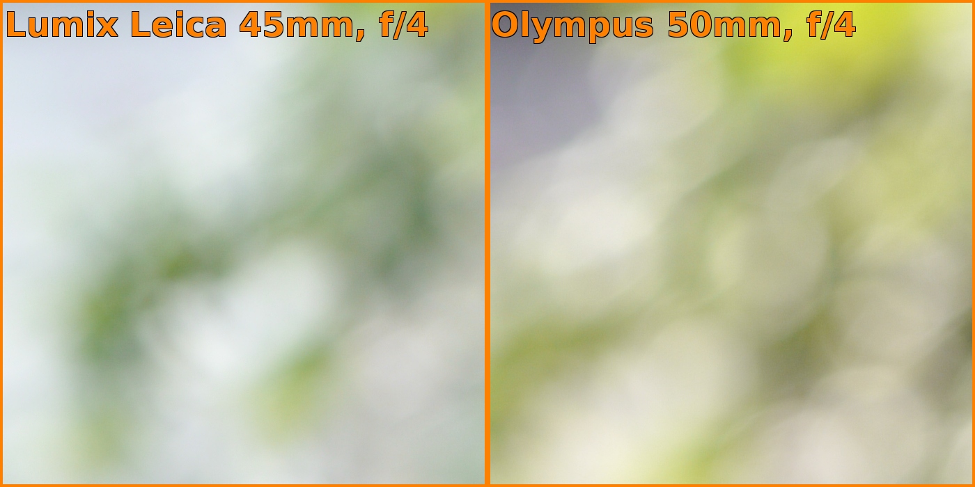 Micro 4/3rds Photography: Bokeh comparison, ZD50 and PL45