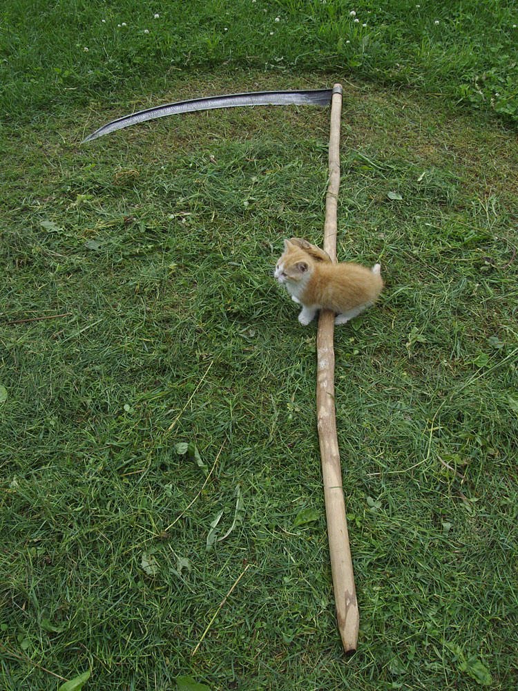 Scythe Connected: Snaths for Long Blades