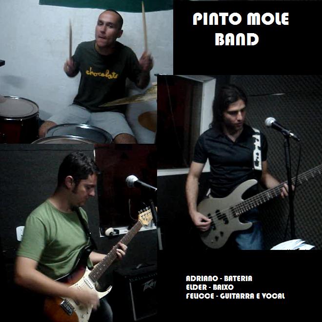 PINTO MOLE BAND IN CONCERT LIVE ORQUESTRA: agosto 2010