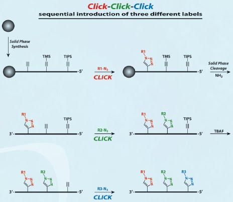 Click Chemistry: Notable oligonucleotide modification using click chemistry