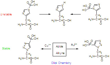 Click Chemistry: Stable Phosphohistidine Analogues by Click Chemistry
