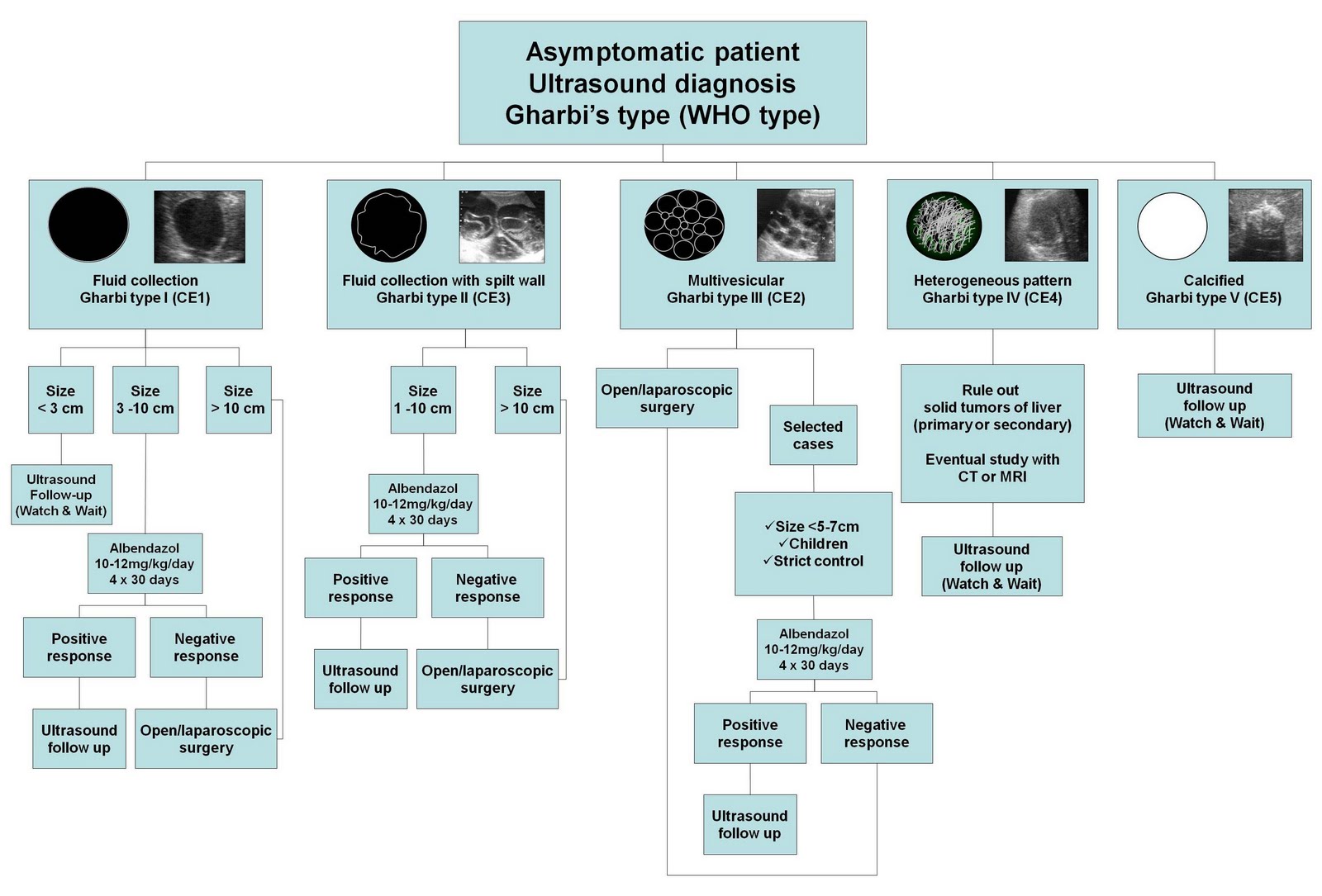 Hidatidosis: Treatment algorithm for hepatic hydatidosis in ...