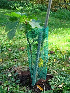 MON JARDIN BIO AU MOULIN