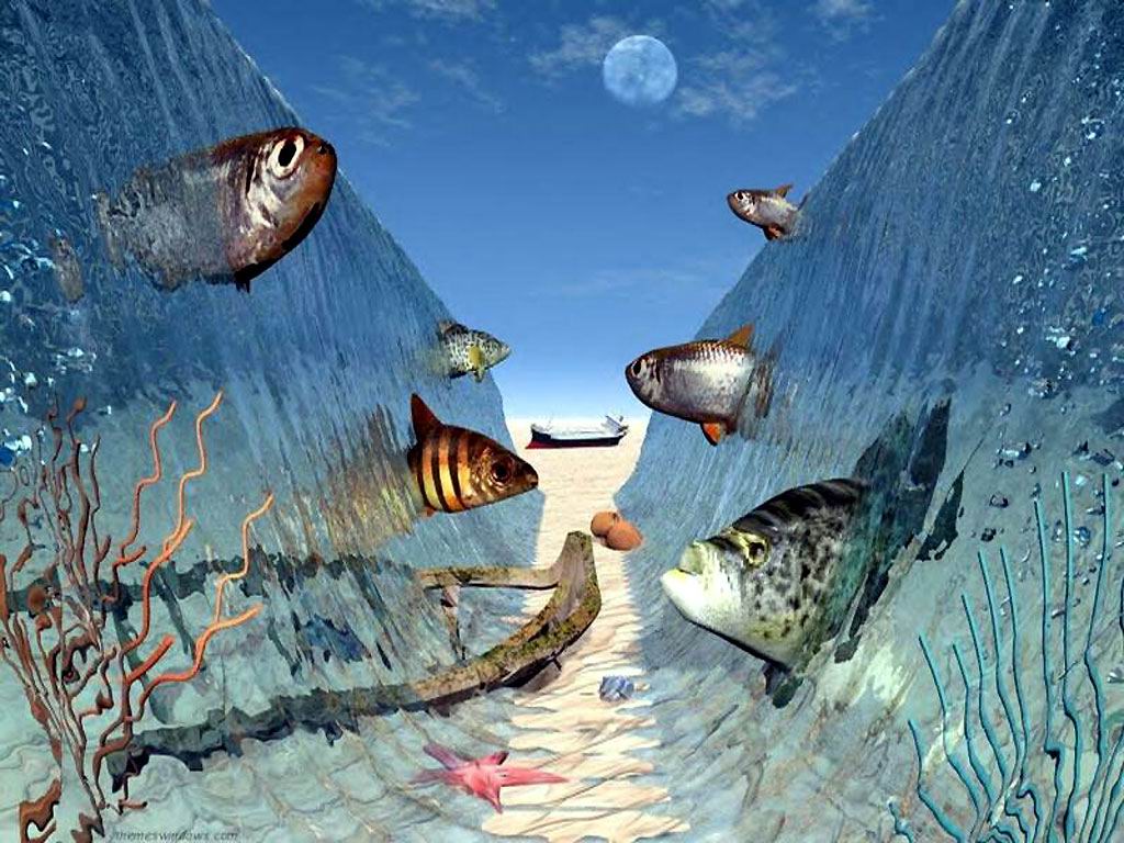 ARTE DIGITAL MODERNO PARA DECORACION: ARTE DIGITAL