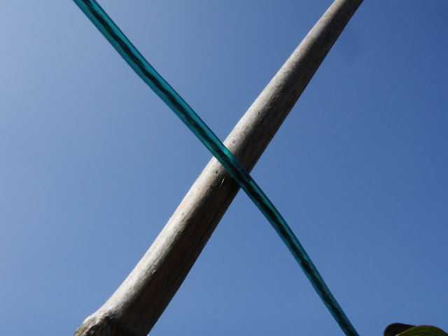 Pictures Just Pictures: BAMBOO POLE AND WASHING LINE