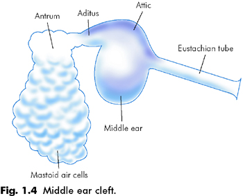 MEDICAL IMAGES: Middle ear cleft